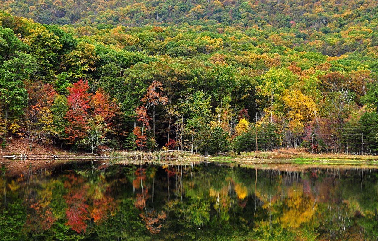 Parks and Recreation - Discover Berkeley Springs